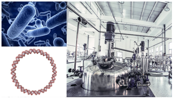 The Promise of Advancing Biomanufacturing Innovation