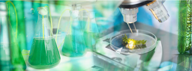 Biomass to Liquid Fuels: We Need Commercial Scale Gen 2 Success - LEC ...