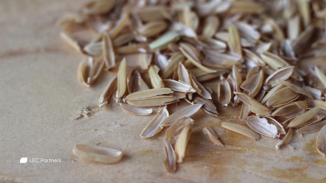 Domestic Next-Gen Feedstocks: Revolutionizing the Bioeconomy (Part 2 of ...