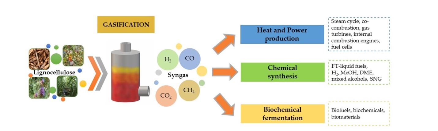 Green Carbon, Real Impact: Recarbonizing Industry with Biomass-Derived ...